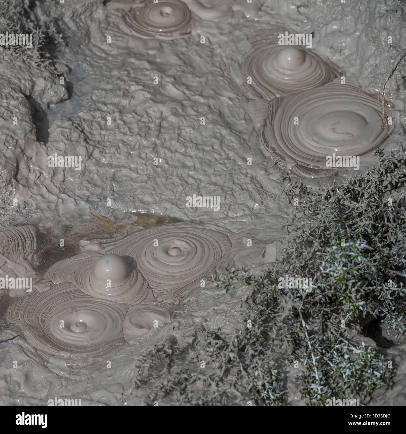 Hot mud erupting in the Wai-o-tapu mud pool, part of the Taupo Volcanic ...