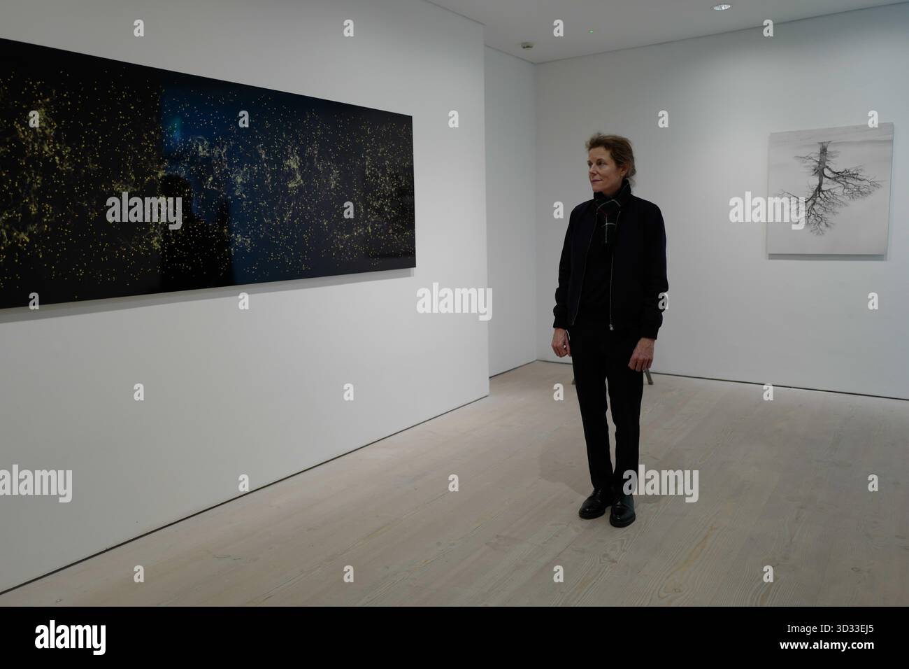 LONDON, United Kingdom, 4th November 2025, Saatchi Gallery opens The ...
