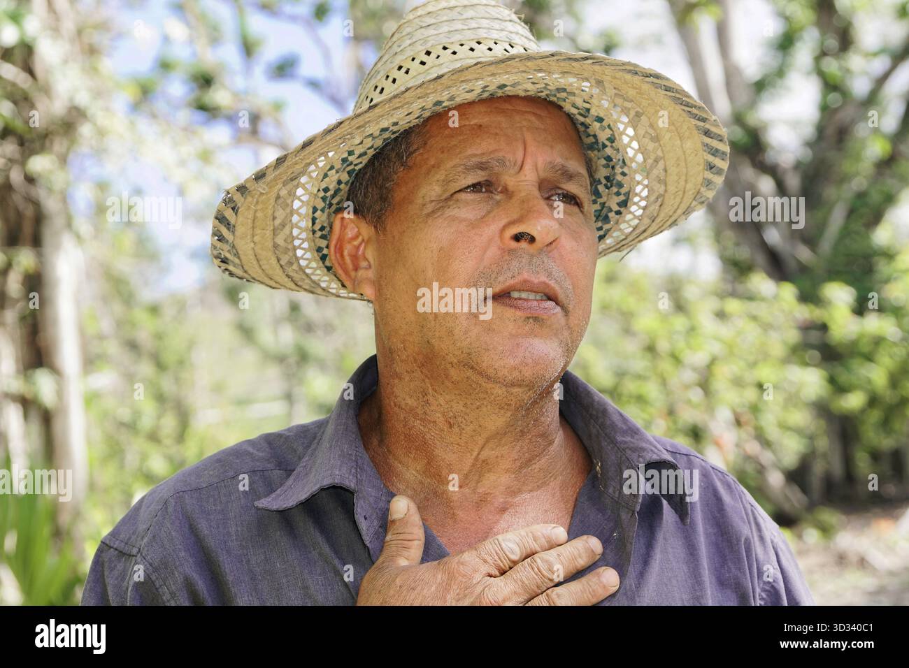 Alexander von Humboldt National Park, Cuba, Caribbean, Central America ...