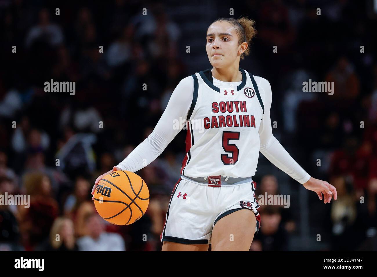 South Carolina guard Tessa Johnson brings the ball upcourt during the ...