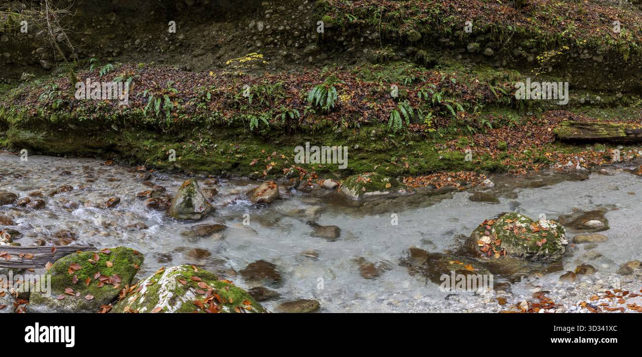 Creek stream course fall hi-res stock photography and images - Alamy