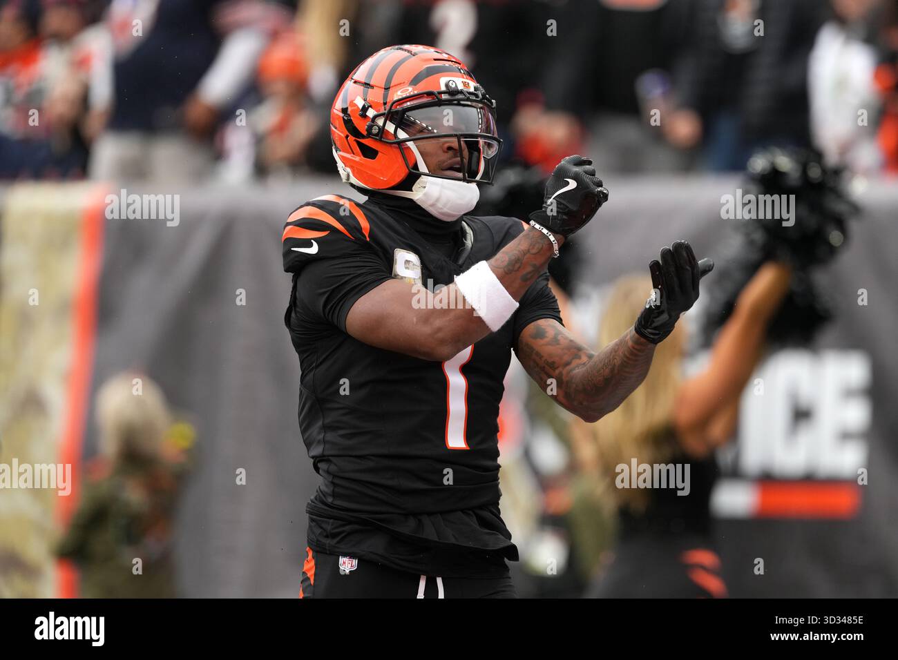 Cincinnati Bengals wide receiver Ja'Marr Chase (1) celebrates after ...