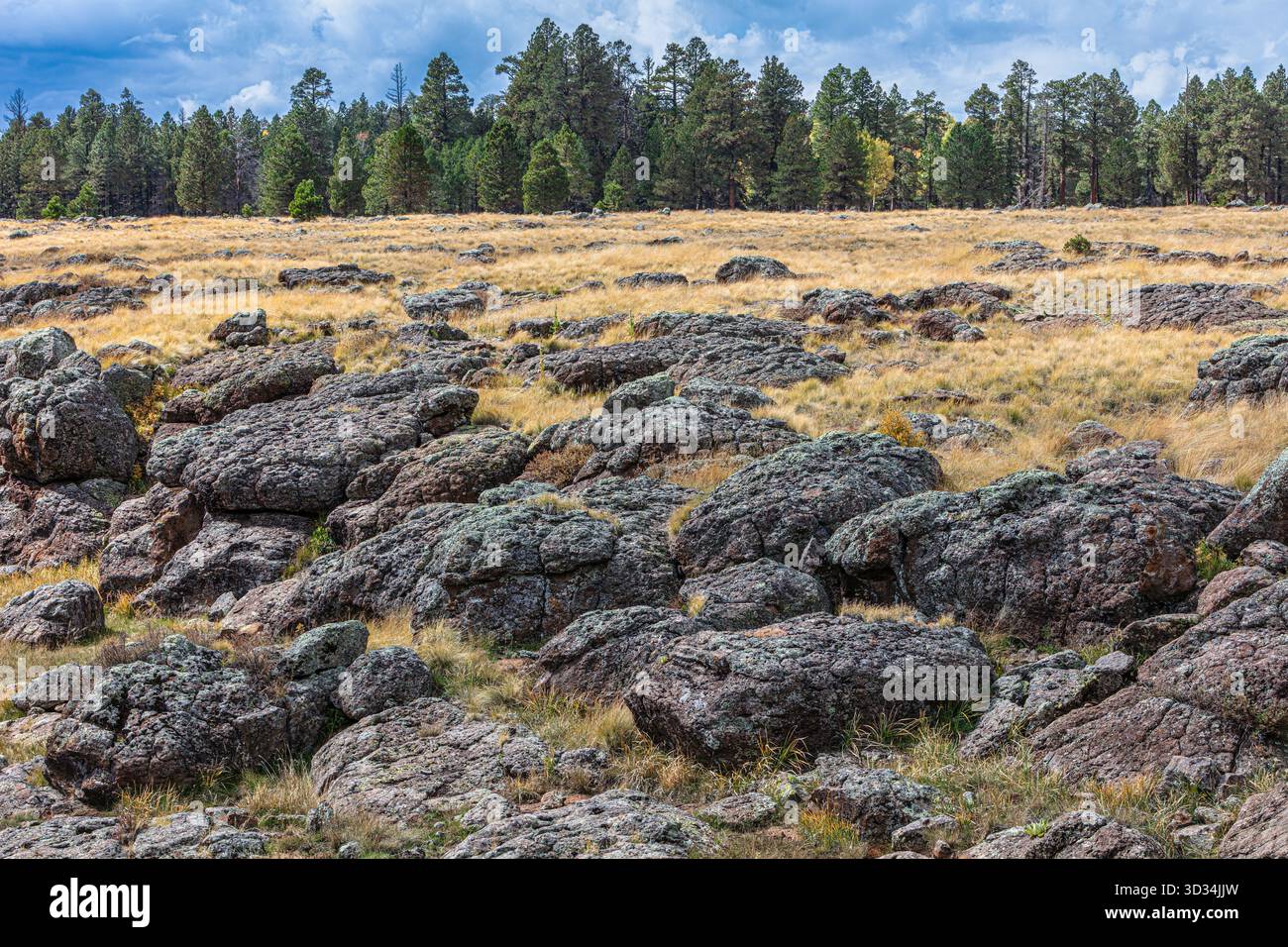 Andesitic soil hi-res stock photography and images - Alamy