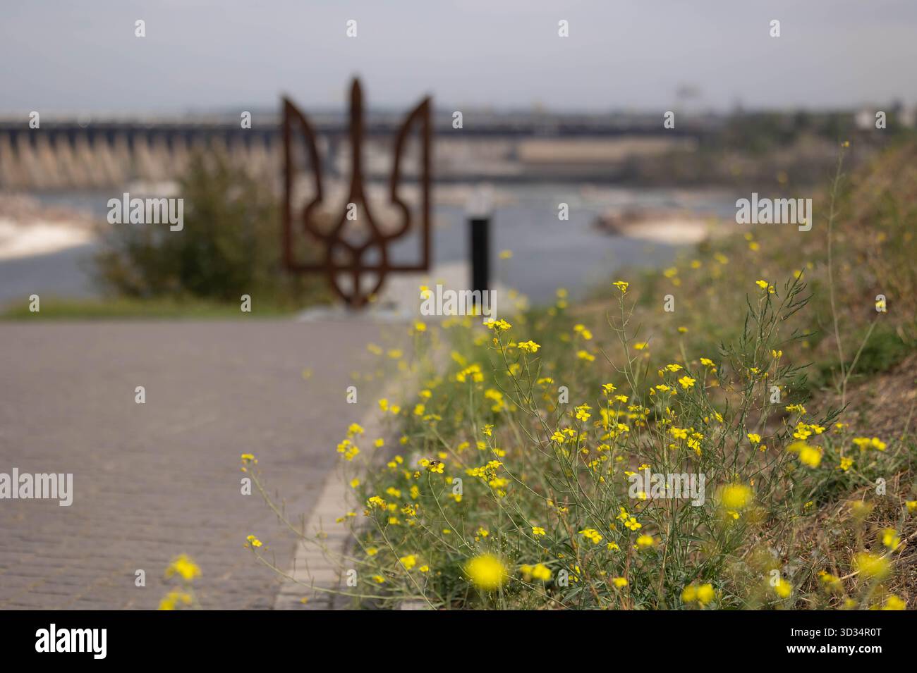 Ukrainian trident monument near river with yellow wildflowers Stock ...