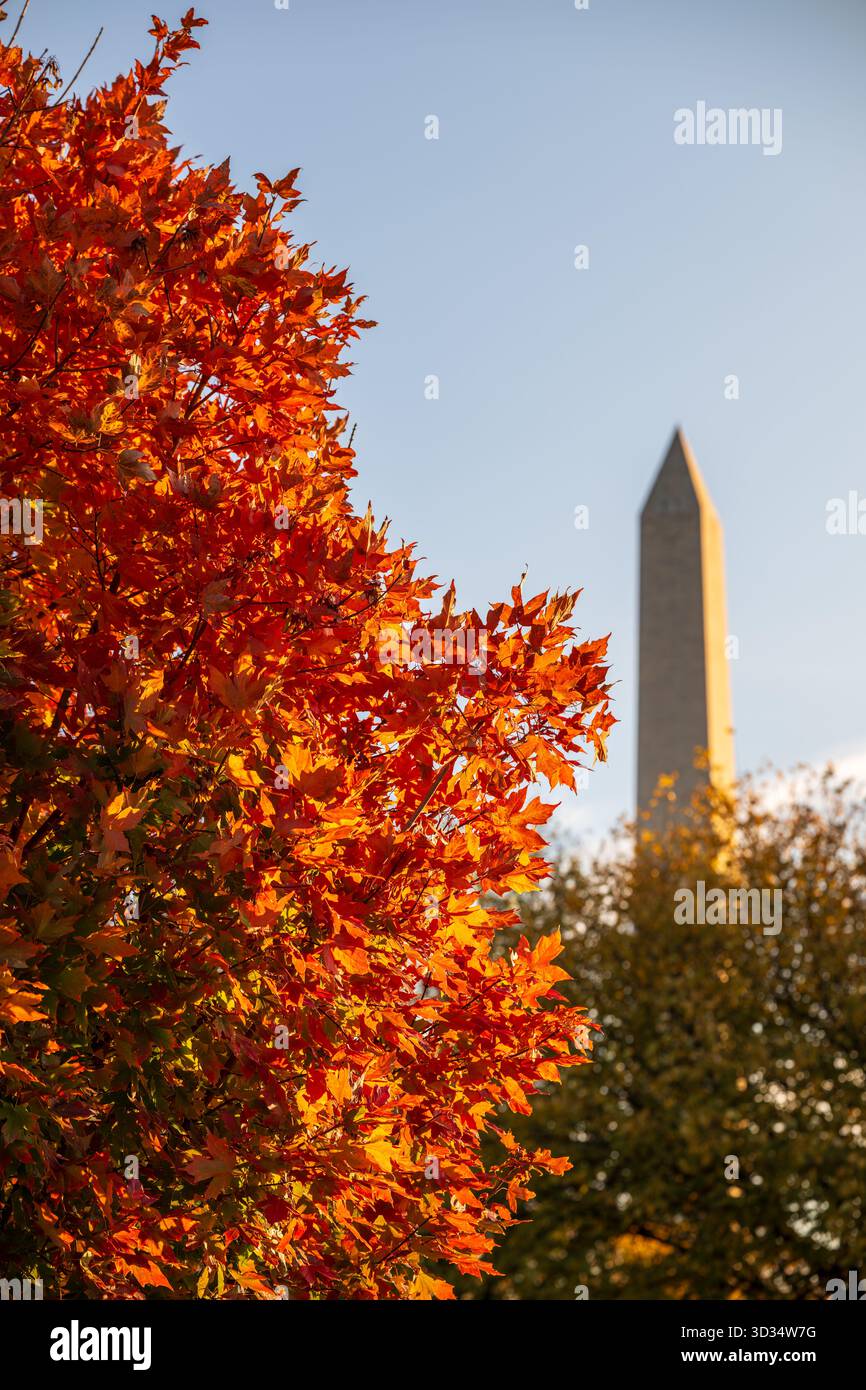 Washington Monument With Autumn Leaves Washington DC // WASHINGTON DC ...