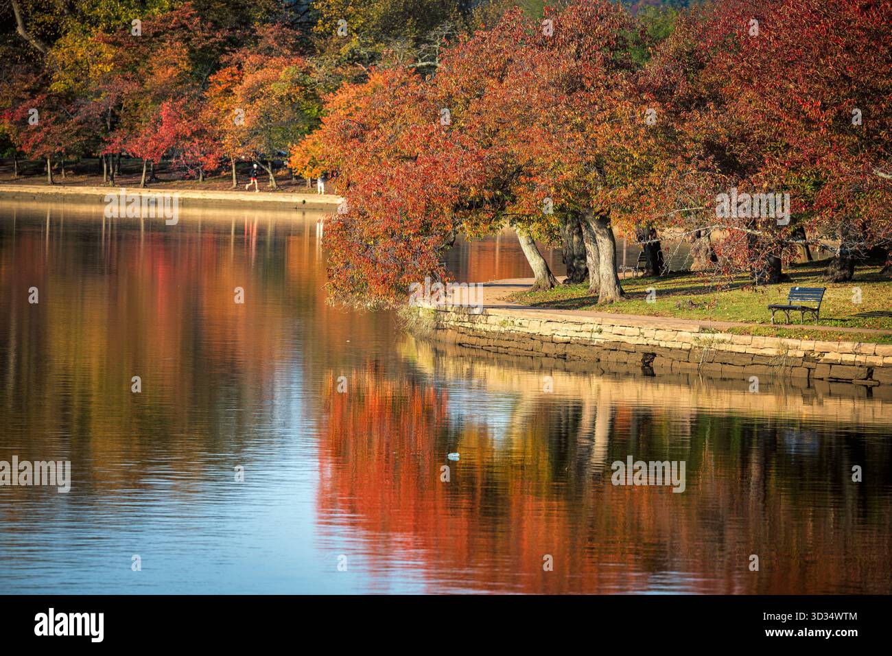 Cherry Trees Fall Colors Tidal Basin Washington DC // WASHINGTON DC ...