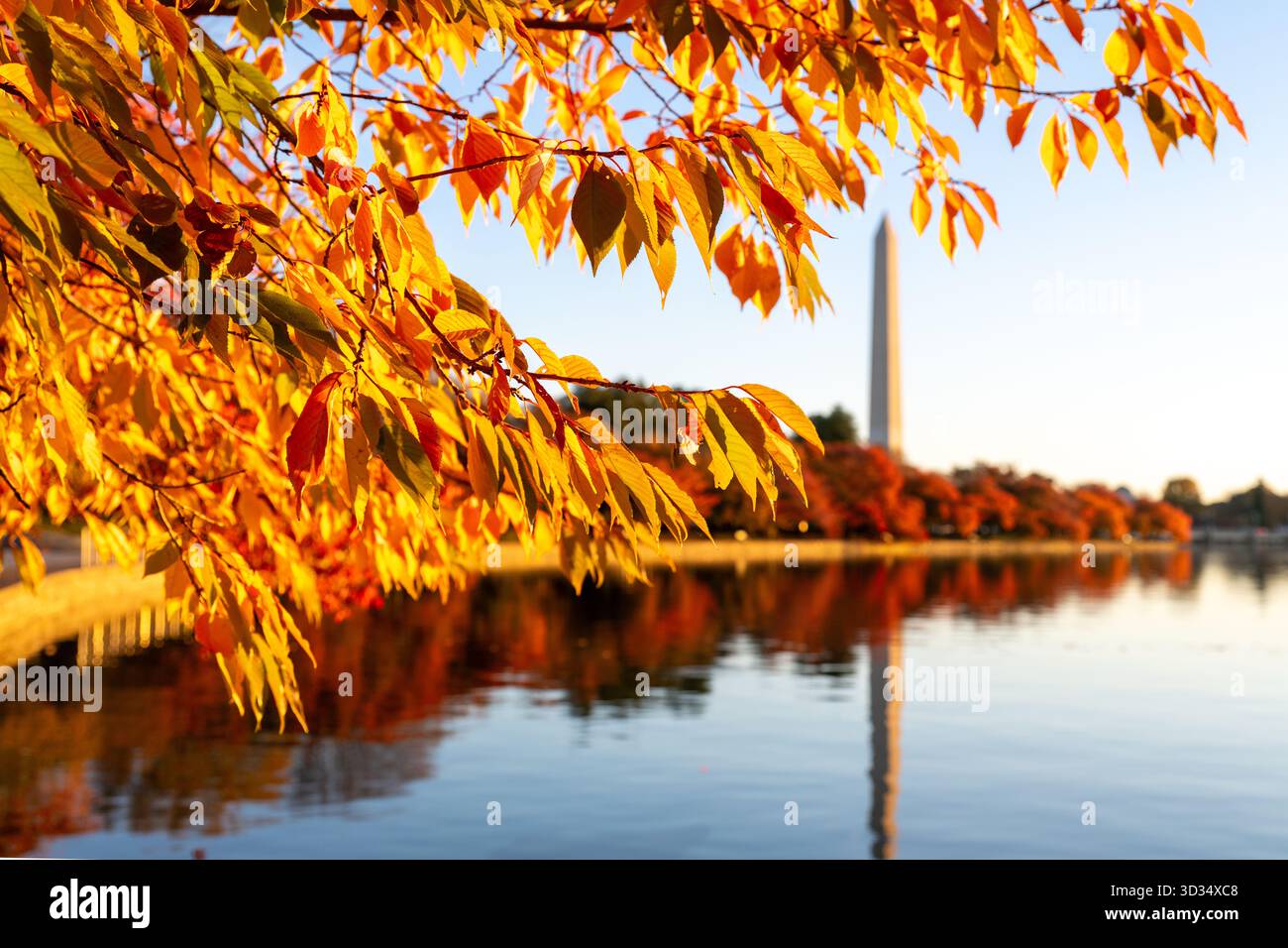 Washington Monument Tidal Basin Autumn Washington DC // WASHINGTON DC ...