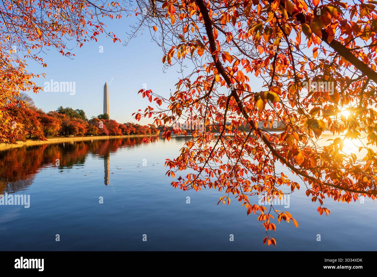 Washington Monument Tidal Basin Autumn Washington DC // WASHINGTON DC ...
