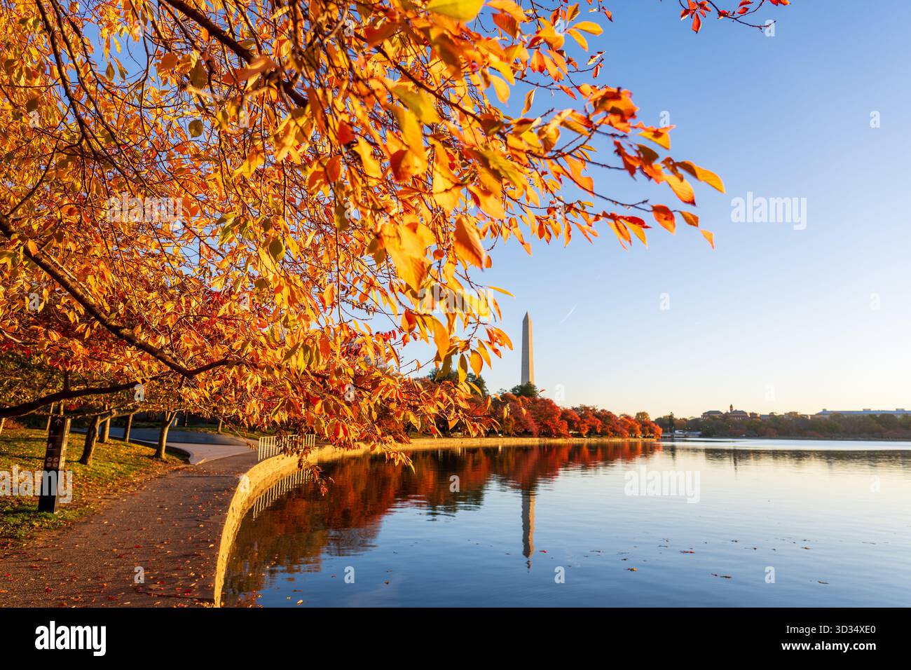 Washington Monument Tidal Basin Fall Colors Washington DC // WASHINGTON ...