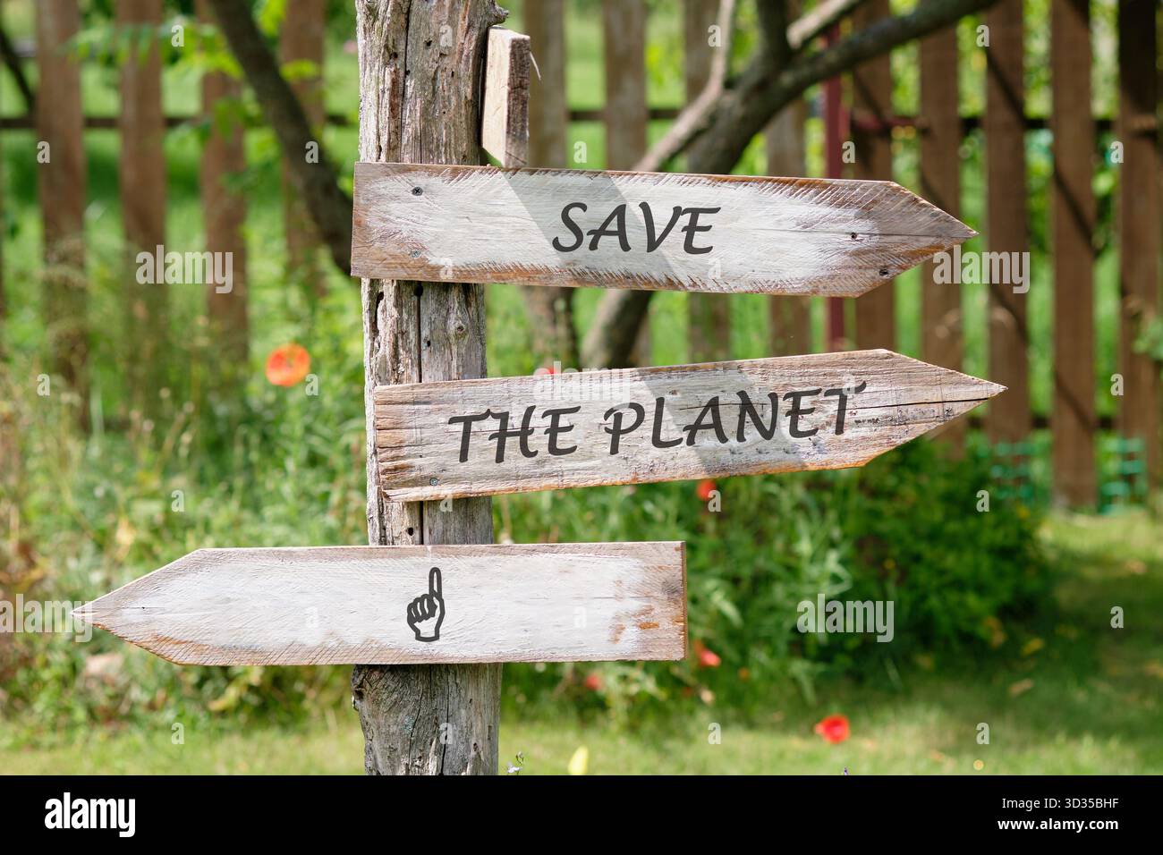 Three wooden arrow signs are attached to a weathered tree trunk. The ...