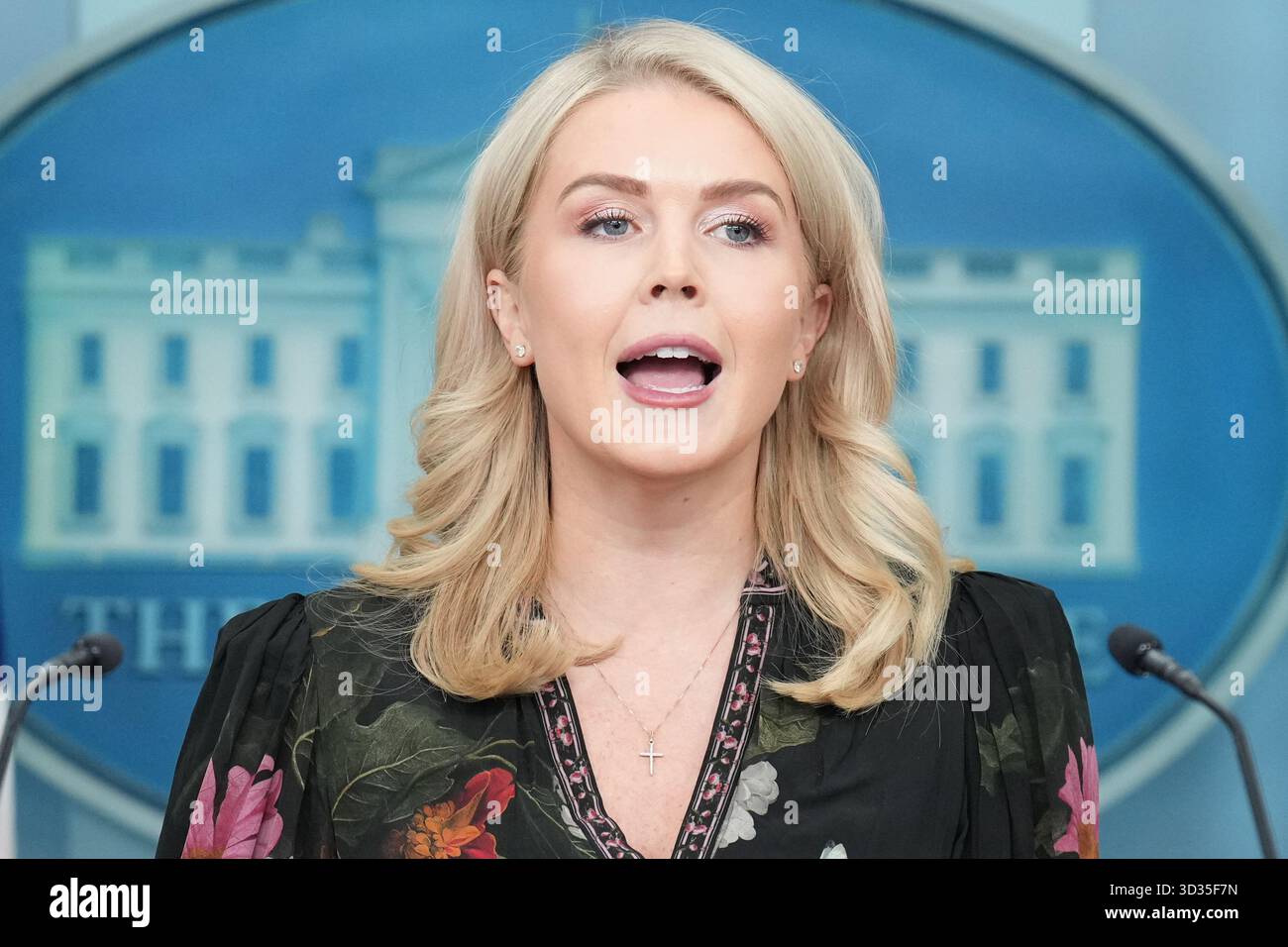 White House press secretary Karoline Leavitt speaks to reporters in the ...