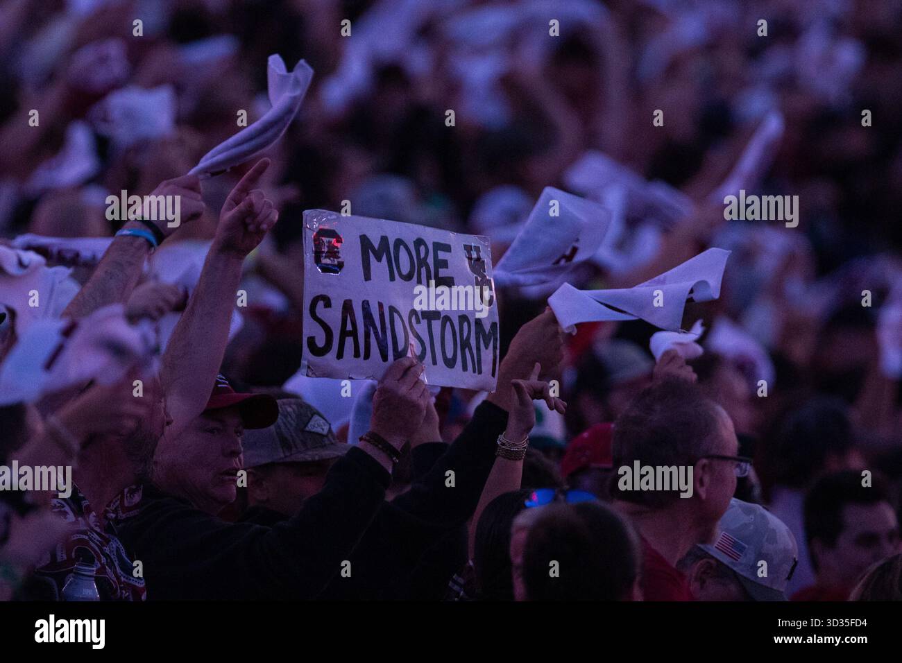 South Carolina fan holds up a sign for "more sandstorm" during the ...