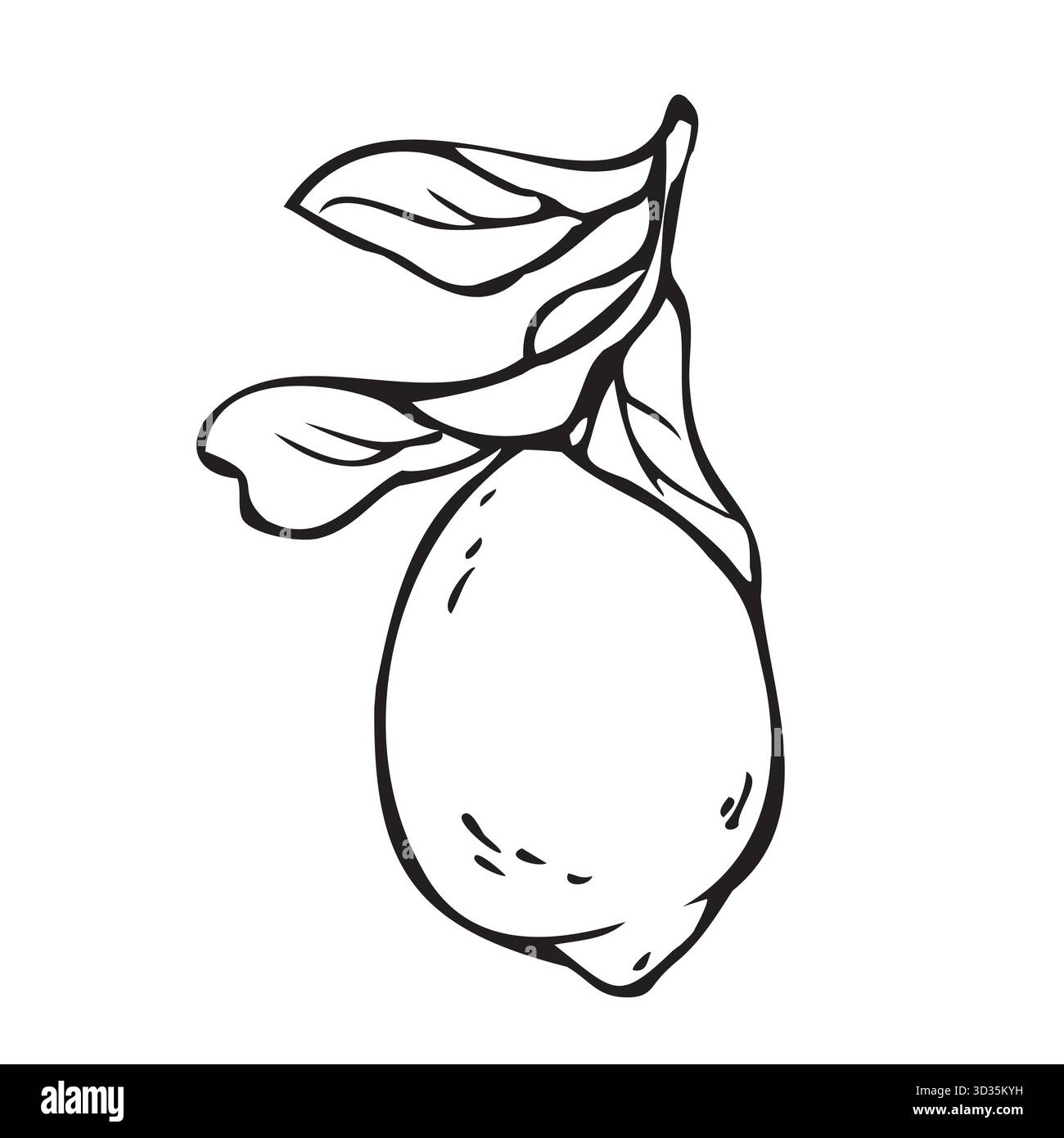 Lemon black Black and White Stock Photos & Images - Alamy