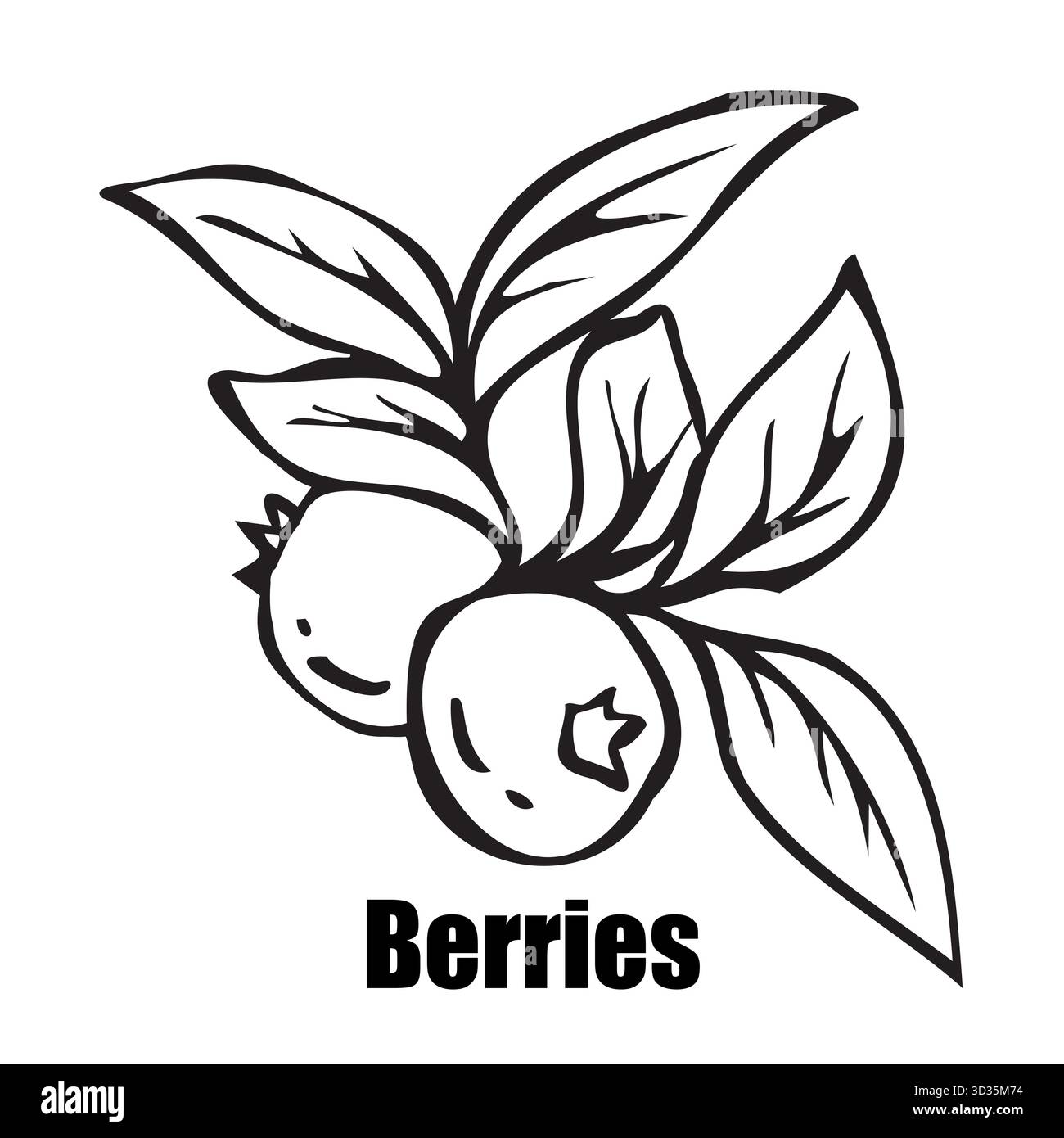 Line blueberry icon Black and White Stock Photos & Images - Alamy