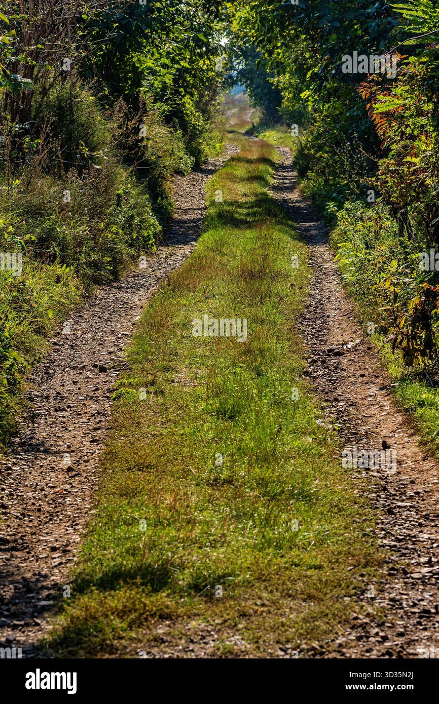 Ideal gravel road in hi-res stock photography and images - Alamy