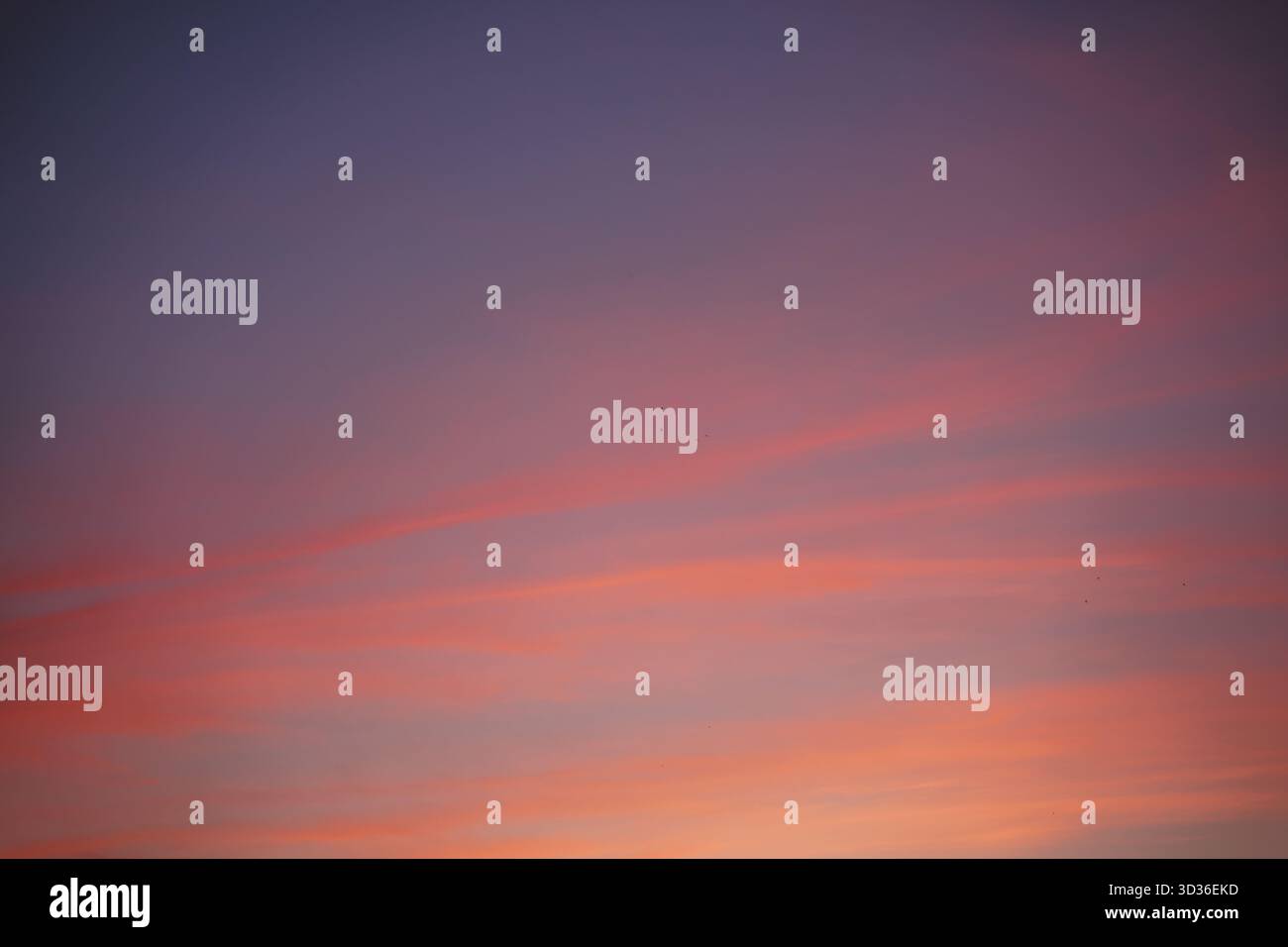 Stunning sunset sky with vivid purple and orange streaks blending ...