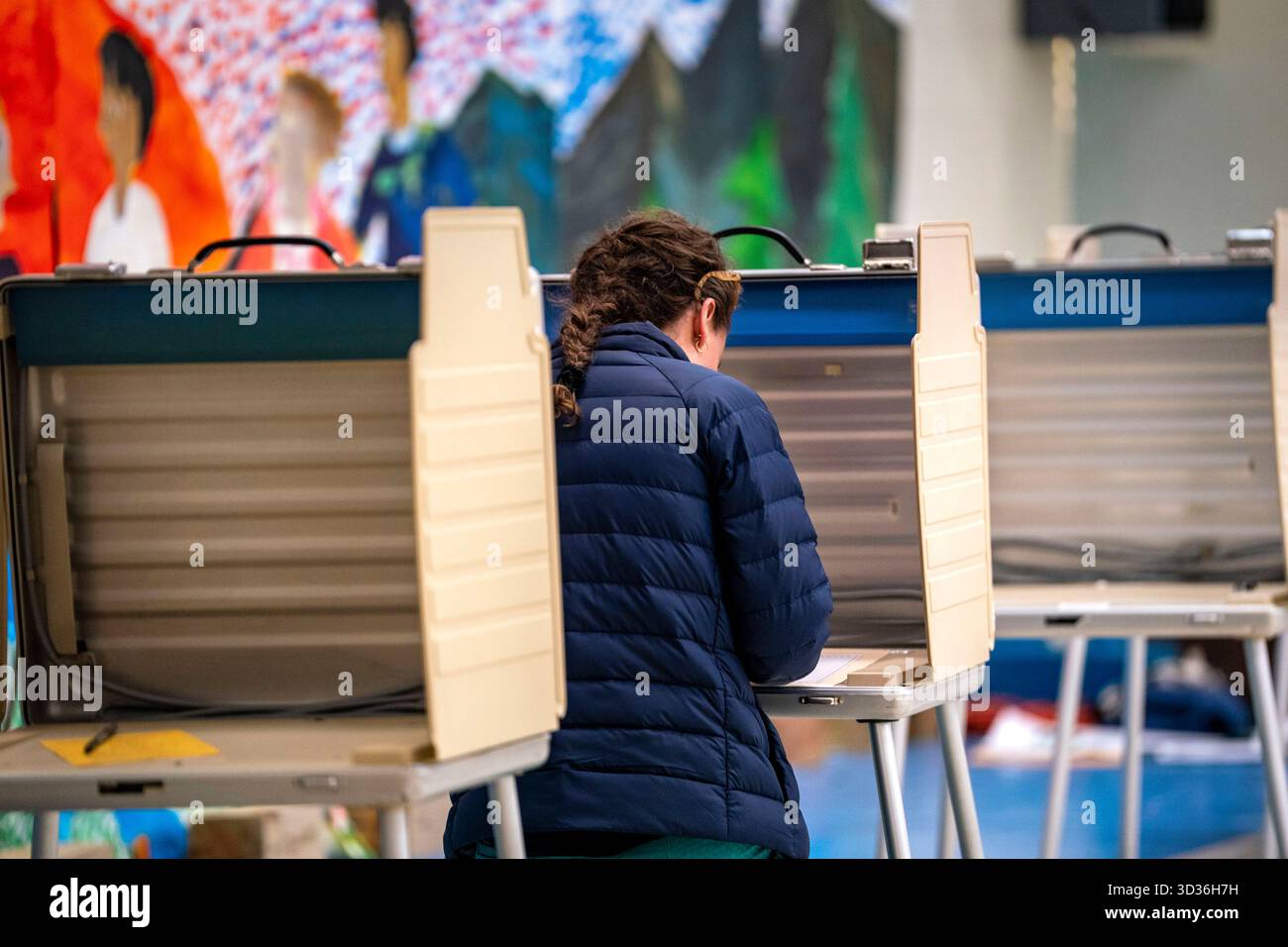 Midlothian, United States. 04th Nov, 2025. Virginians cast their ...