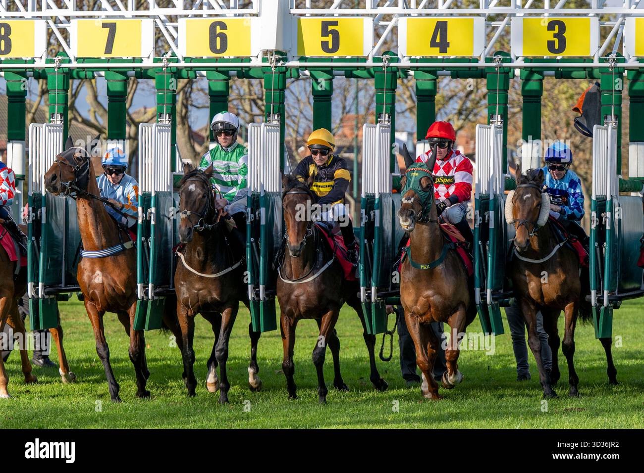 The starting blocks unfold at the start of Race 4 - 13:55 REDCAR 1m 2f 1y racingtv.com/freetrial ...