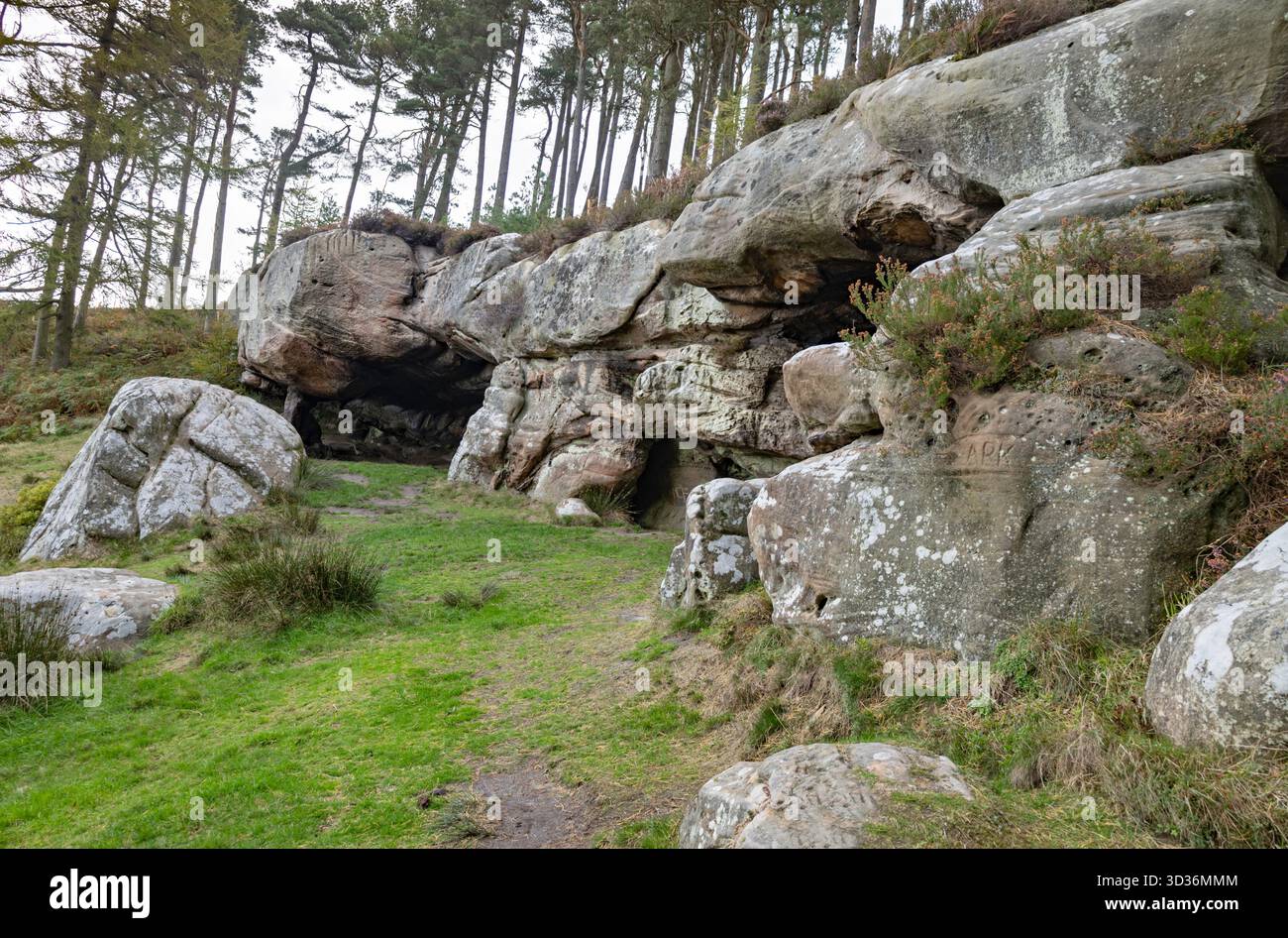 Cheviots and cuthbert's way hi-res stock photography and images - Alamy