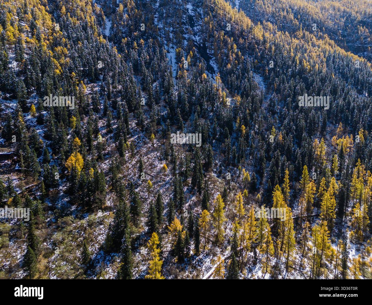 ABA, CHINA - OTOBER 28, 2025 - Dagu Glacier Scenic Area in Heishui ...