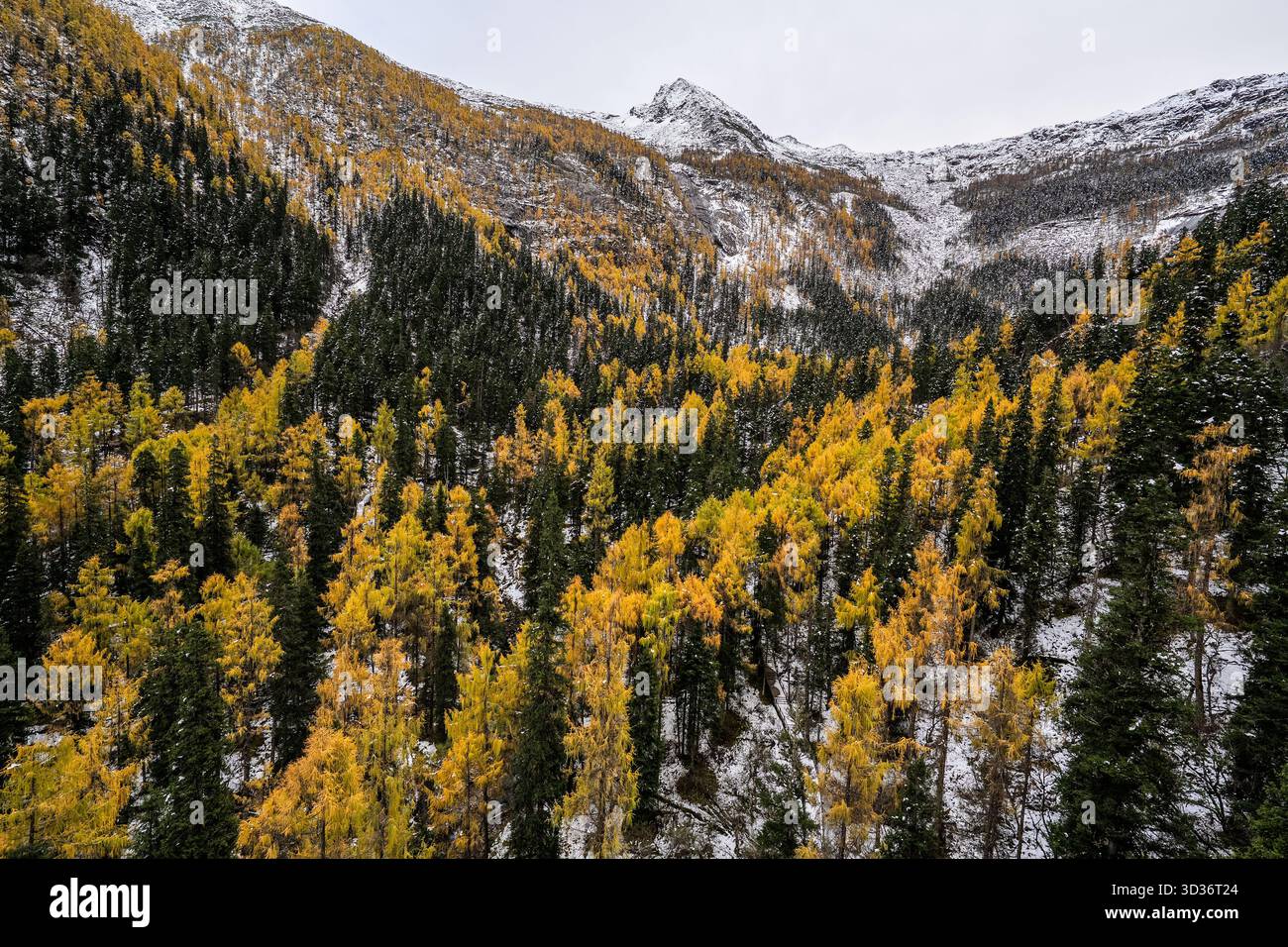 ABA, CHINA - OTOBER 28, 2025 - Dagu Glacier Scenic Area in Heishui ...