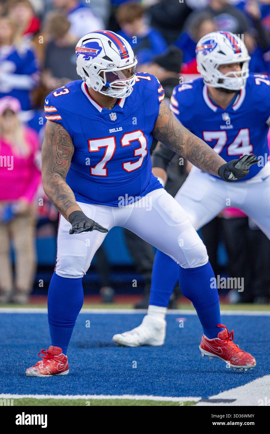 Buffalo Bills offensive tackle Dion Dawkins (73) warms up before an NFL ...