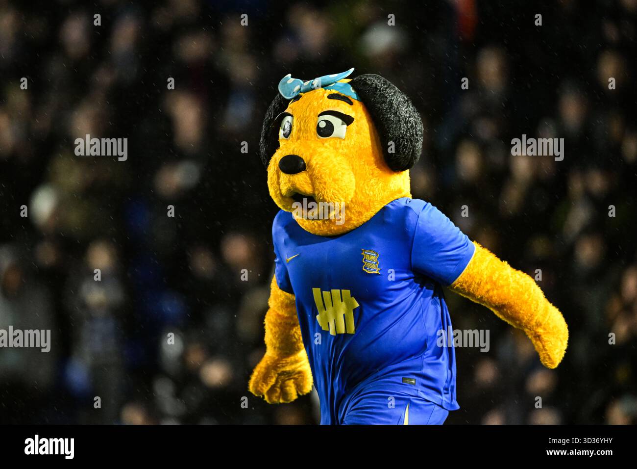 4th November 2025; St Andrews, Birmingham, West Midlands, England; EFL ...