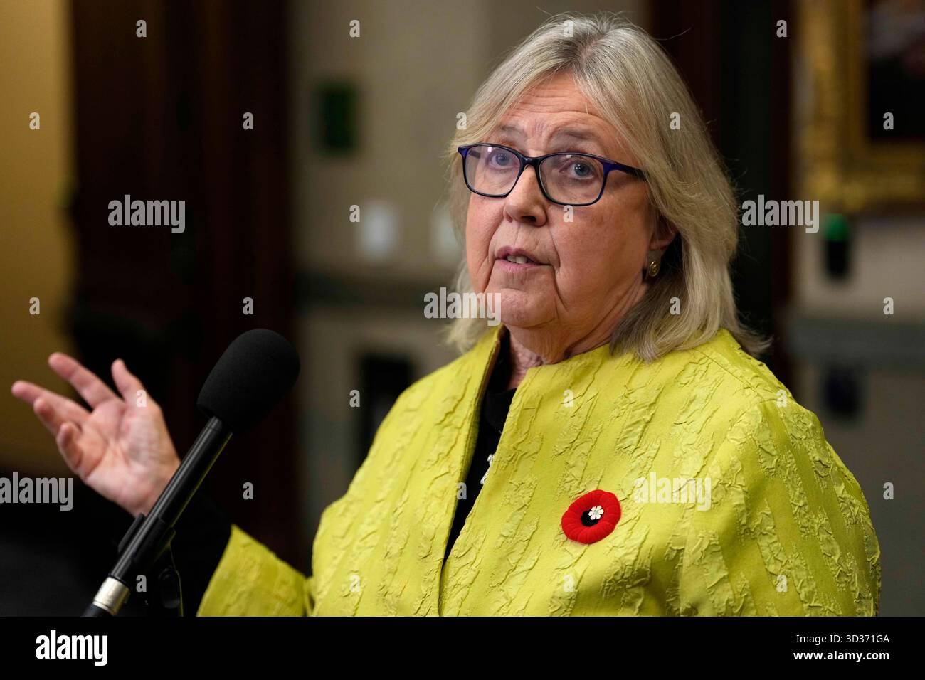 Green Party Leader Elizabeth May speaks in the Foyer of the House of ...
