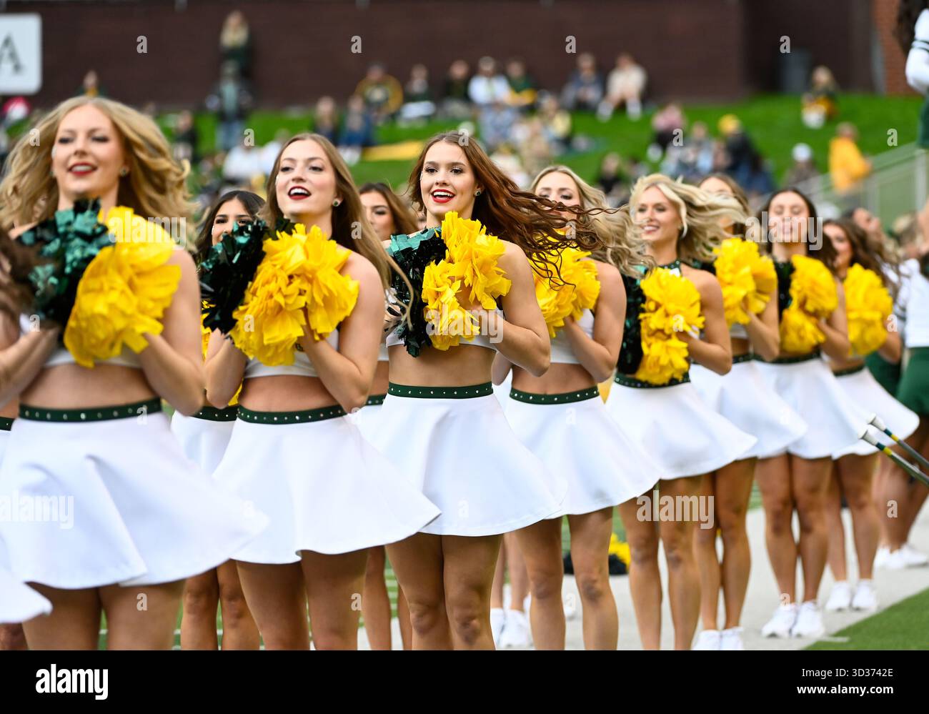 Waco, Texas, USA. 01st Nov, 2025. Baylor Bears cheerleaders before the ...