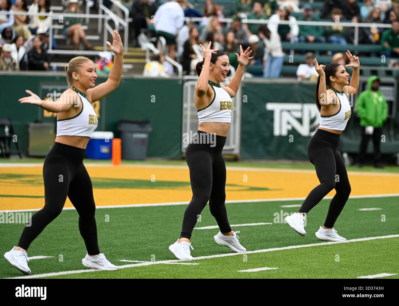 November 01, 2025 Baylor Bears song leaders perform during the 2nd half ...