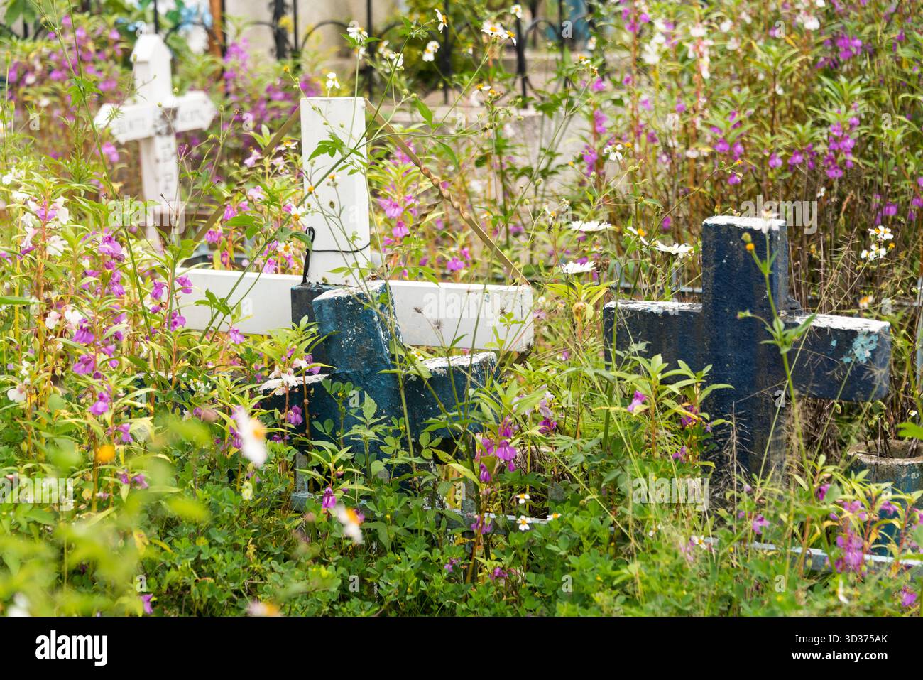 Views from graveyard of Huatusco, Veracruz, México Stock Photo - Alamy