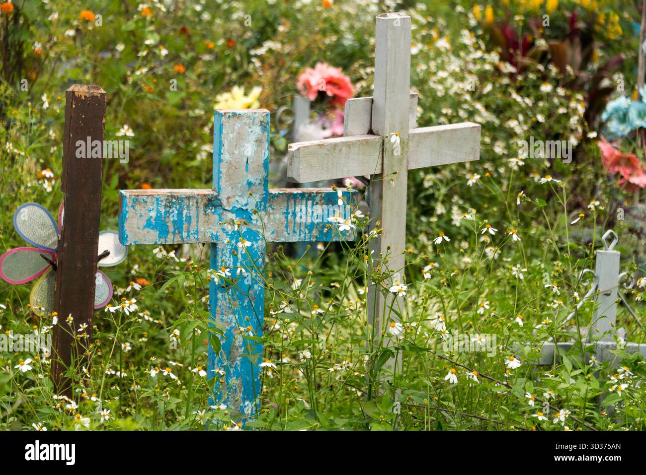 Views from graveyard of Huatusco, Veracruz, México Stock Photo - Alamy