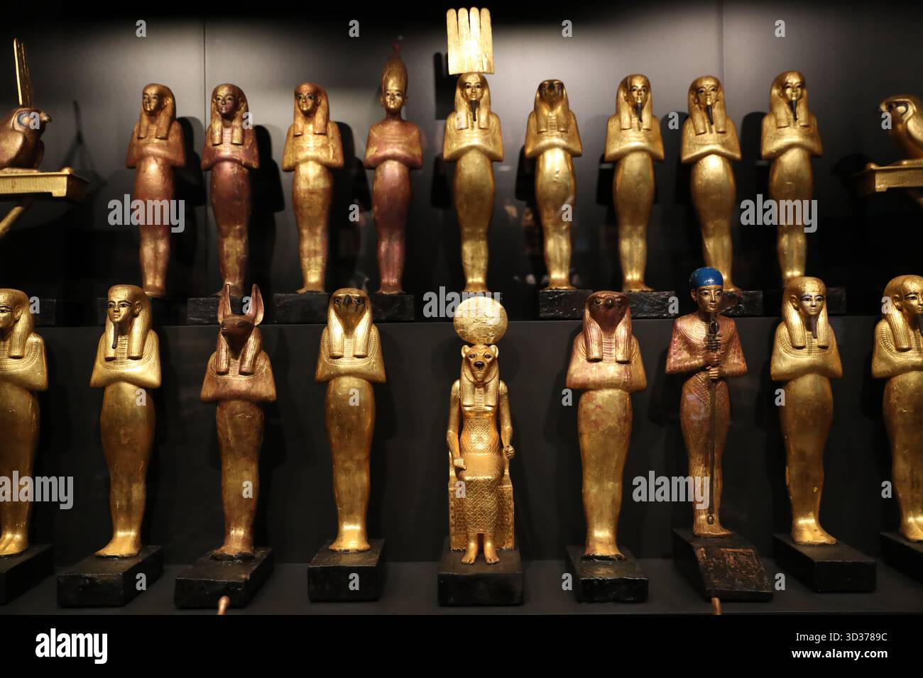 Giza. 4th Nov, 2025. This photo taken on Nov. 4, 2025 shows exhibits at ...