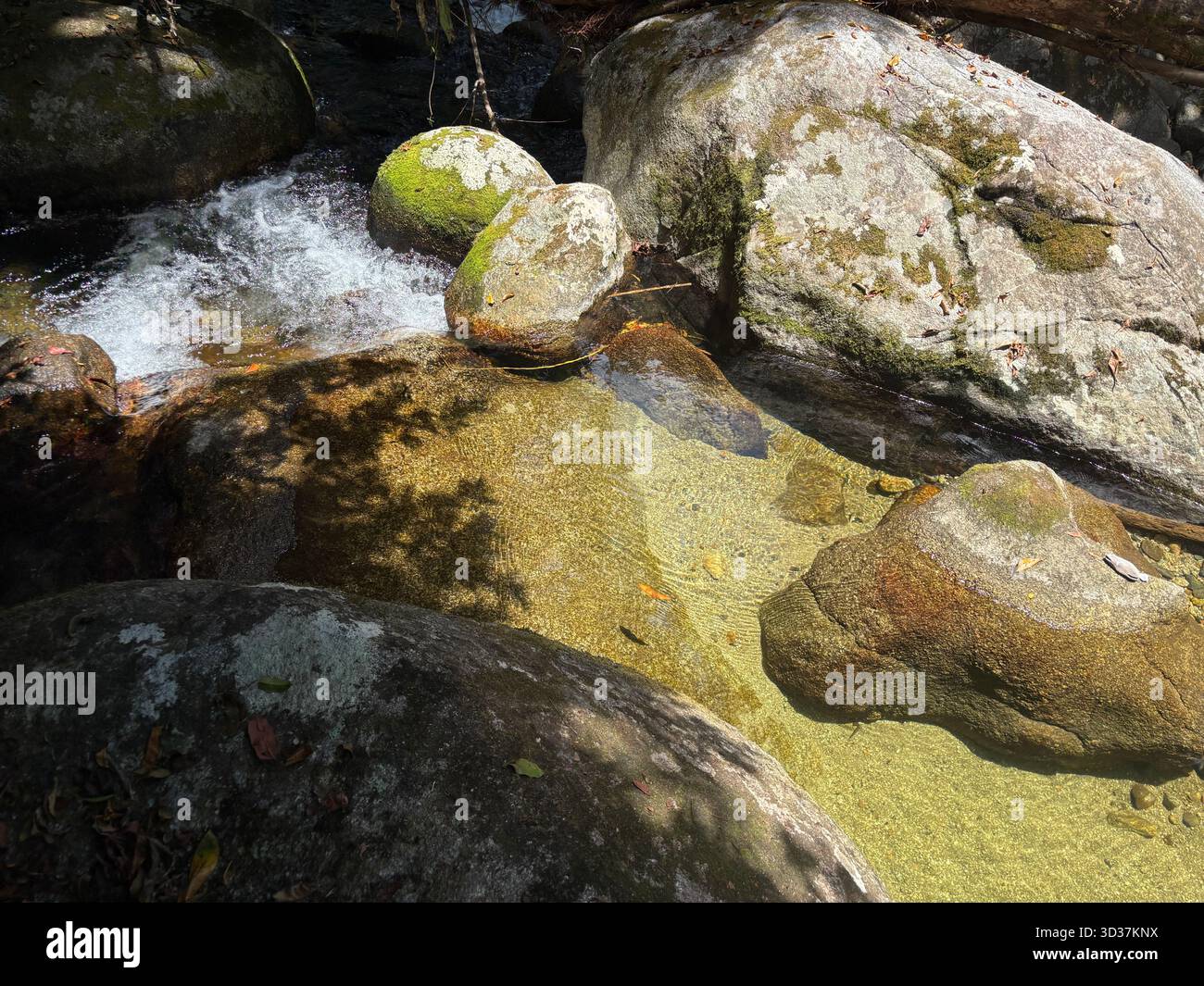 Clear rainforest creek running over rounded boulders, Bartle Frere ...