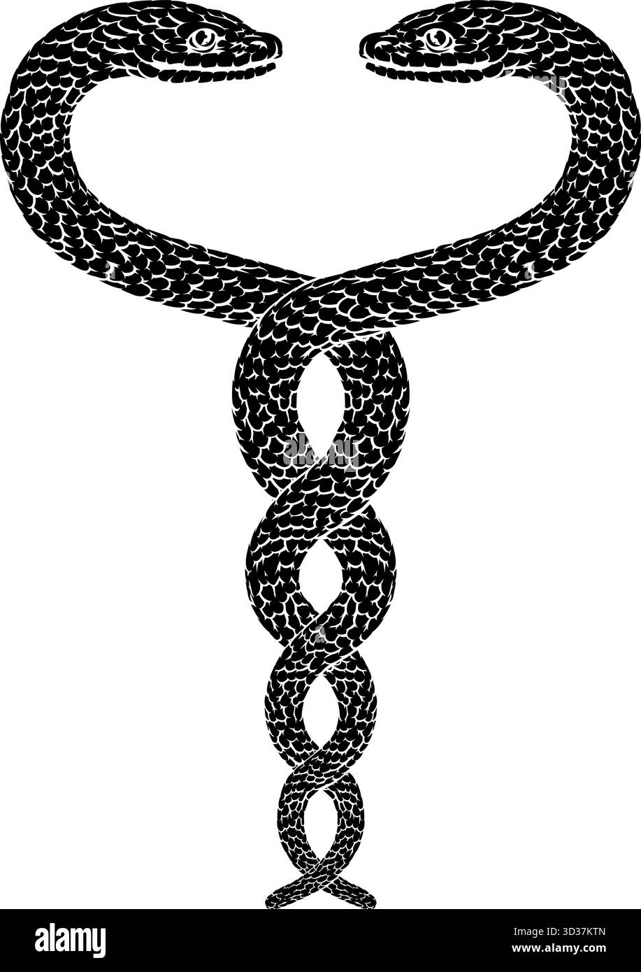 Snakes Two Intertwined Helix Vintage Illustration Stock Vector Image ...