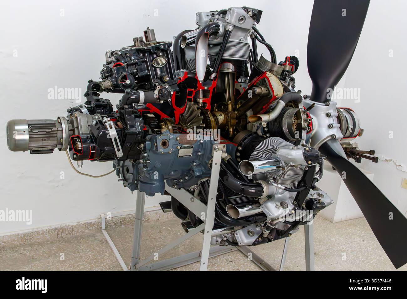 Detailed Cutaway Display of a Vintage Piston Aircraft Engine and ...