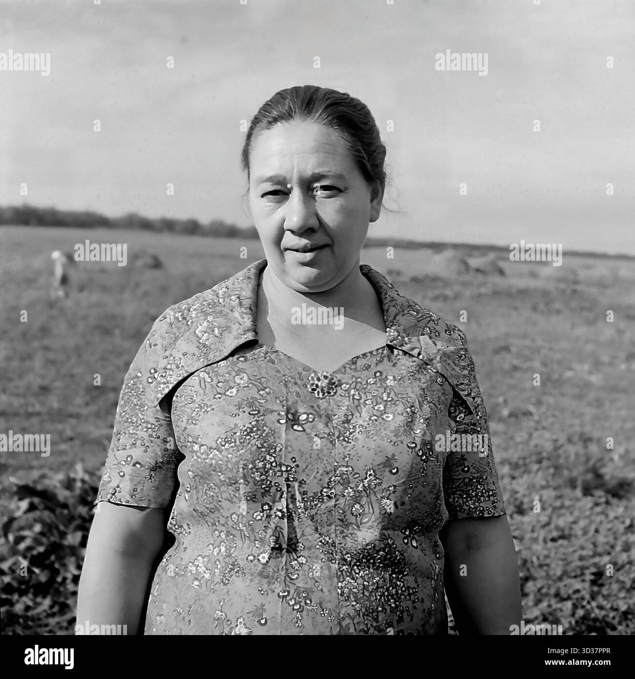 Archive black and white photo from 1961 in the Sloviansk district ...