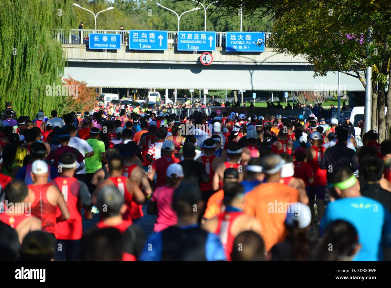 The 2025 Beijing Marathon kicks off in Beijing, China, 2 November, 2025 ...