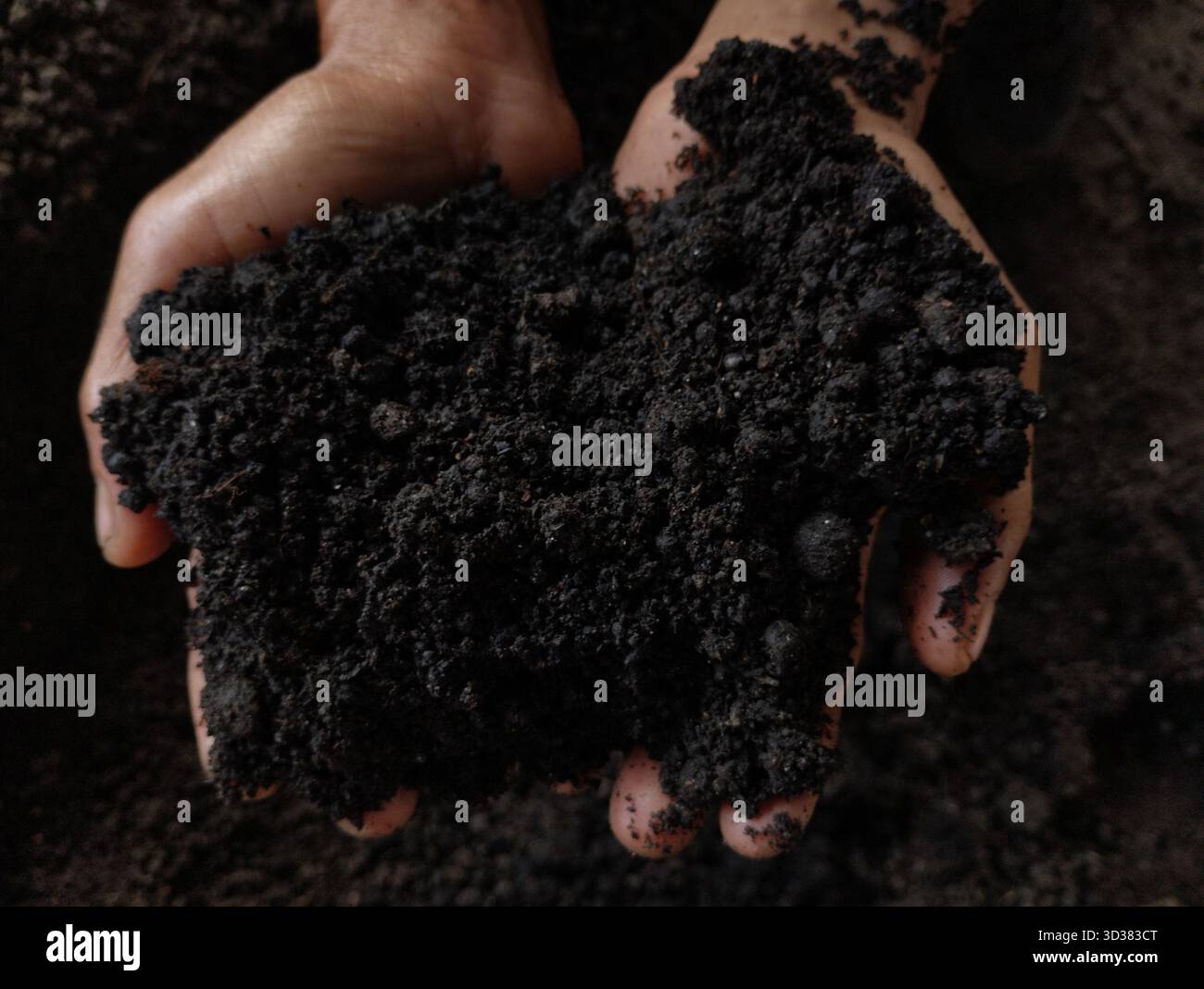 The hand of a compost factory worker of PT Nousindo Nusatara Agri's ...