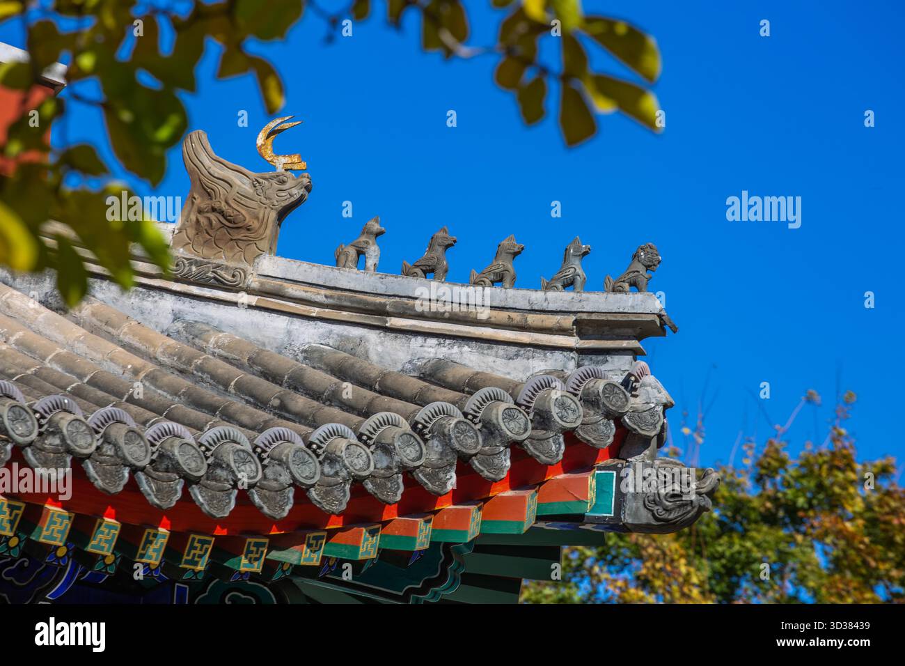 Autumn scenery along the Tongzhou section of the Grand Canal in Beijing ...