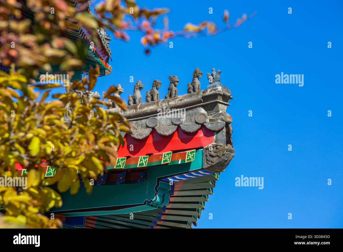 Autumn scenery along the Tongzhou section of the Grand Canal in Beijing ...
