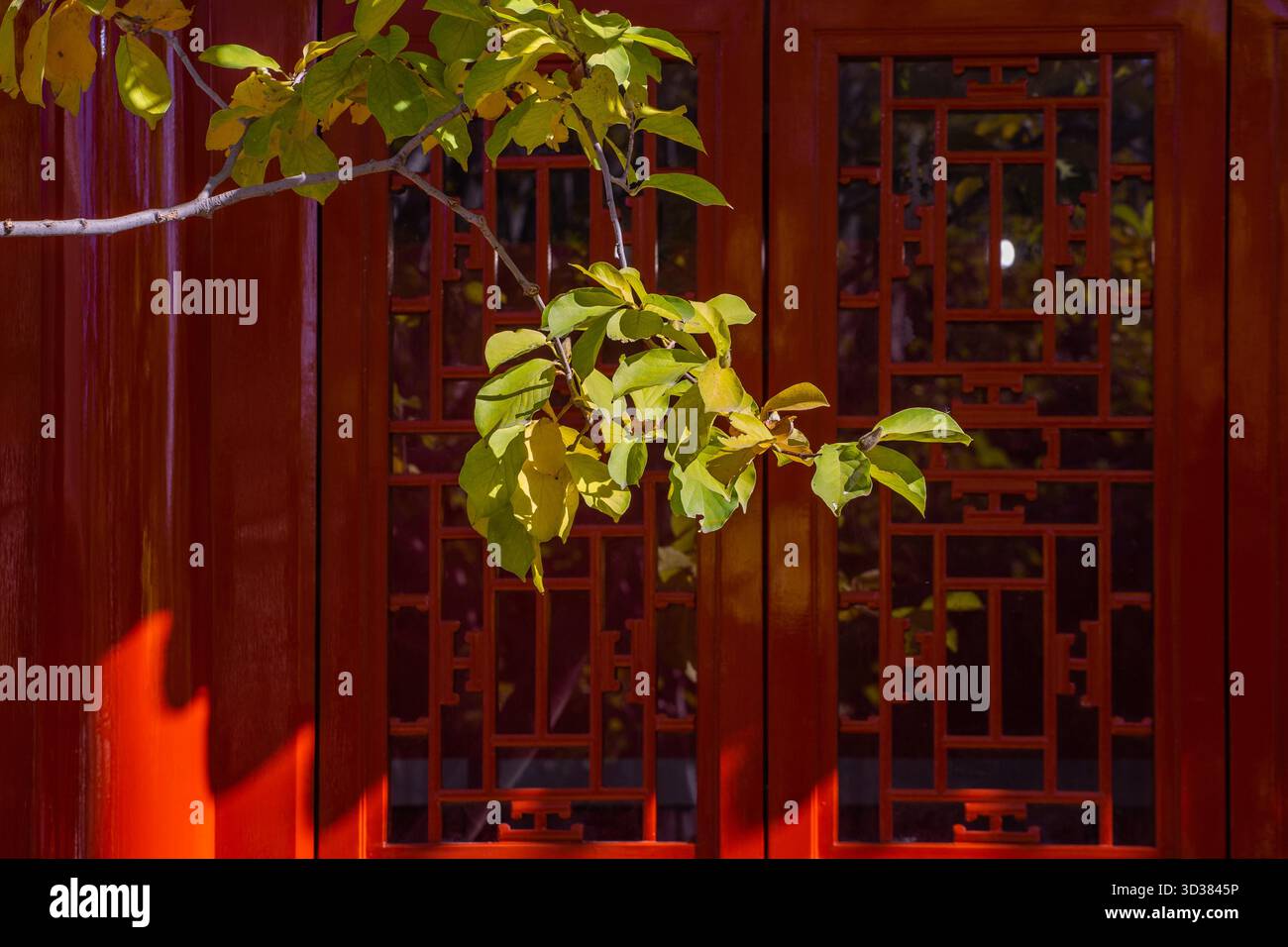 Autumn scenery along the Tongzhou section of the Grand Canal in Beijing ...