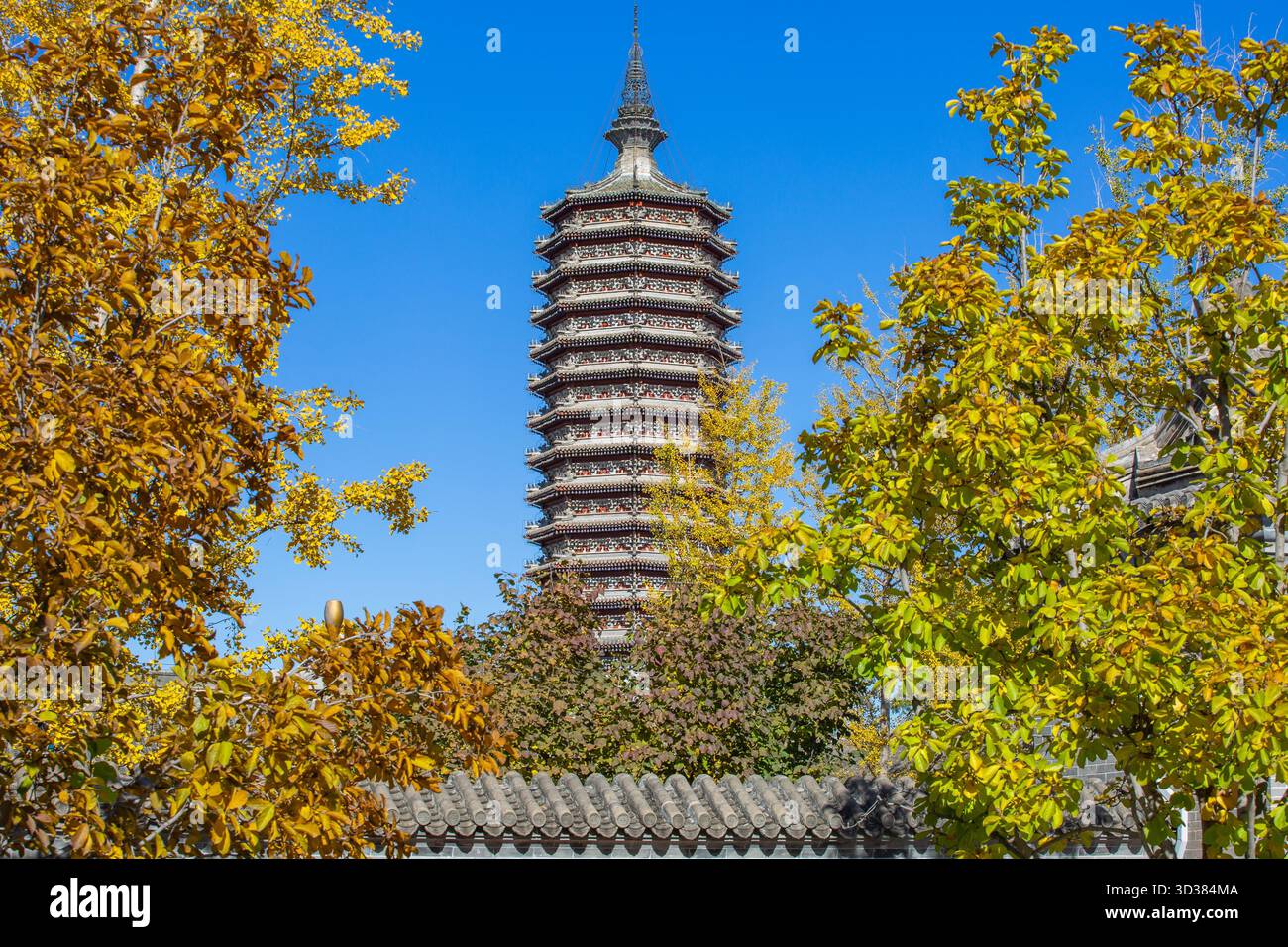 Autumn scenery along the Tongzhou section of the Grand Canal in Beijing ...