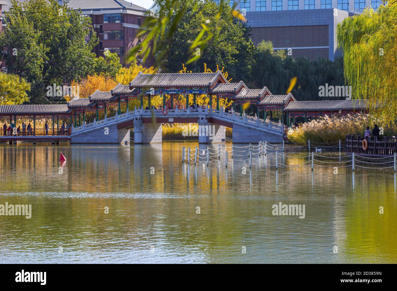 Autumn scenery along the Tongzhou section of the Grand Canal in Beijing ...