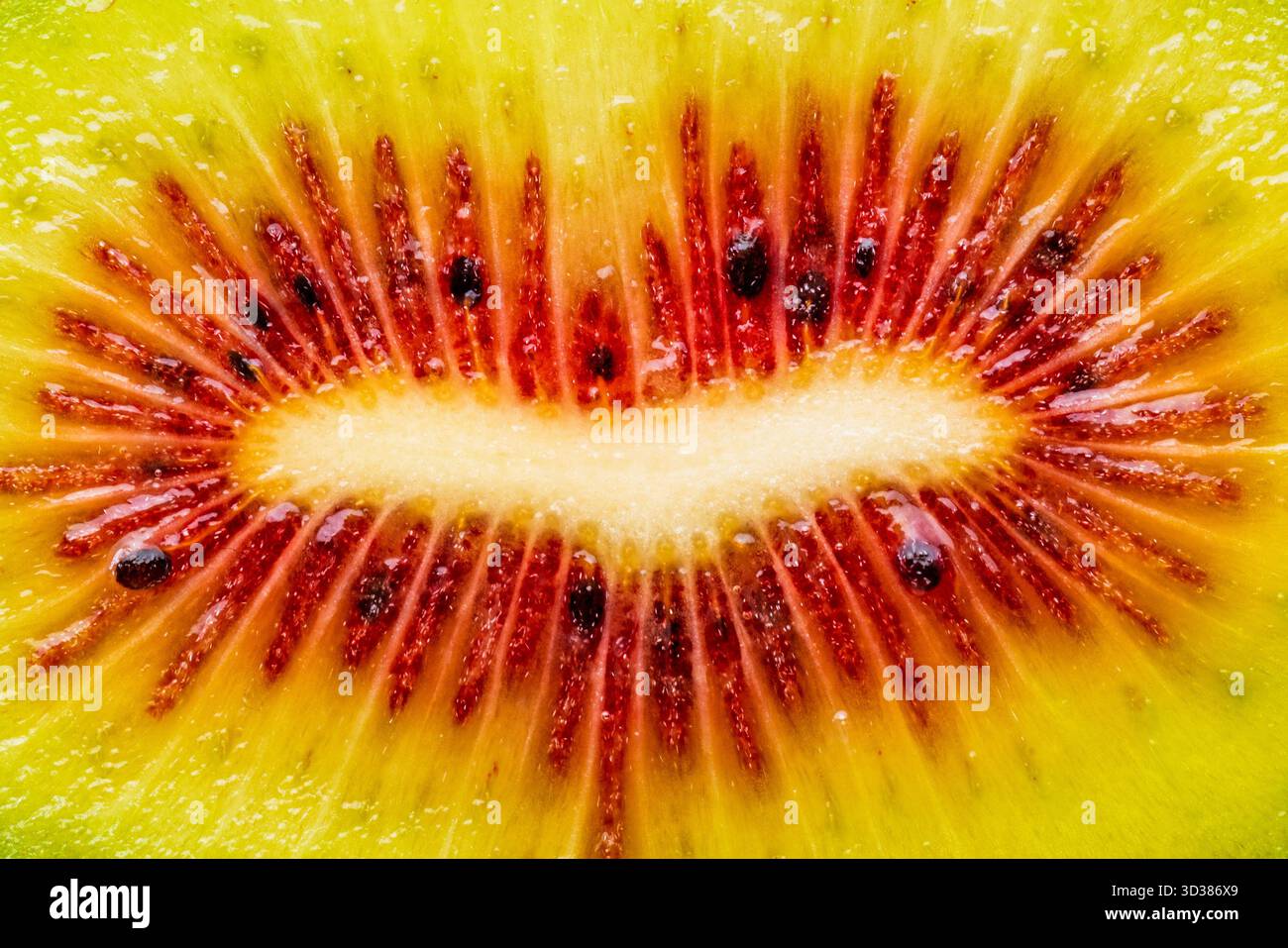 Kiwi yellow green red hi-res stock photography and images - Alamy