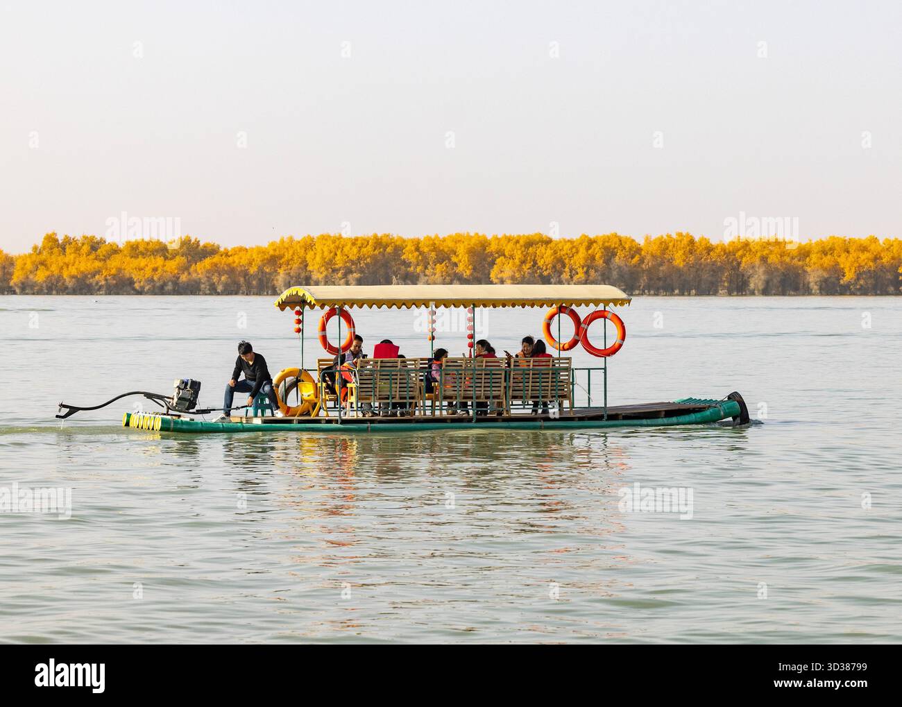 Golden populus euphratica forest attracts tourists in Shaya County ...