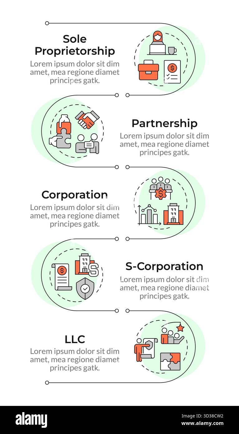 Business structures infographic vertical sequence Stock Vector Image ...