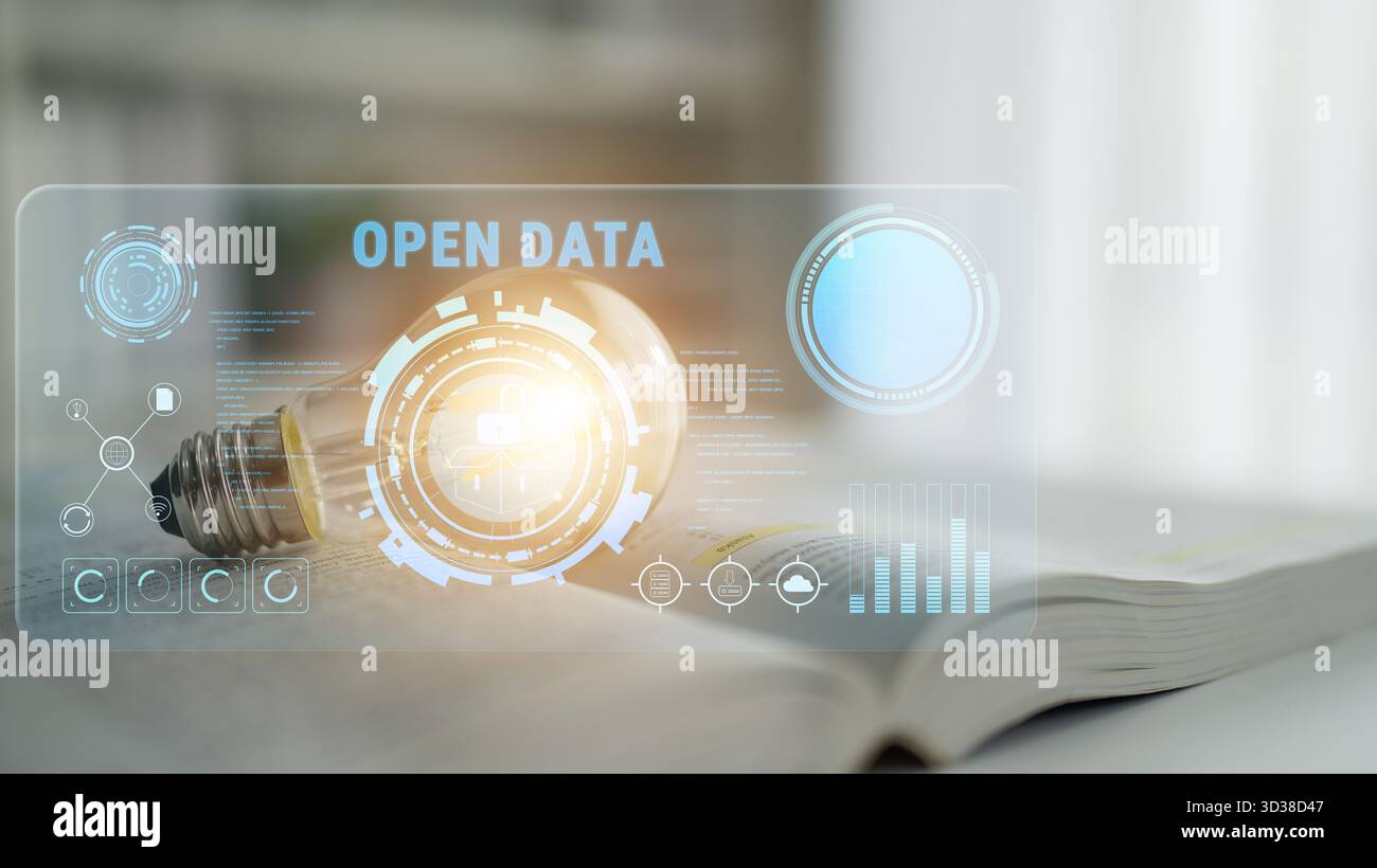The concept of open data for public information and government ...