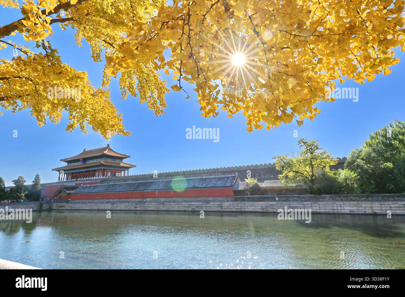 Autumn scenery at the Palace Museum in Beijing, China, 2 November Stock ...