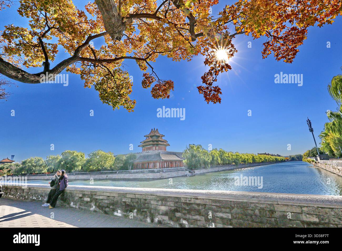 Autumn scenery at the Palace Museum in Beijing, China, 2 November Stock ...